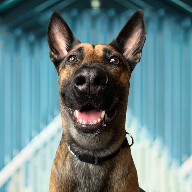 Das Team der Influencer Marketing Agentur styleranking | styleranking